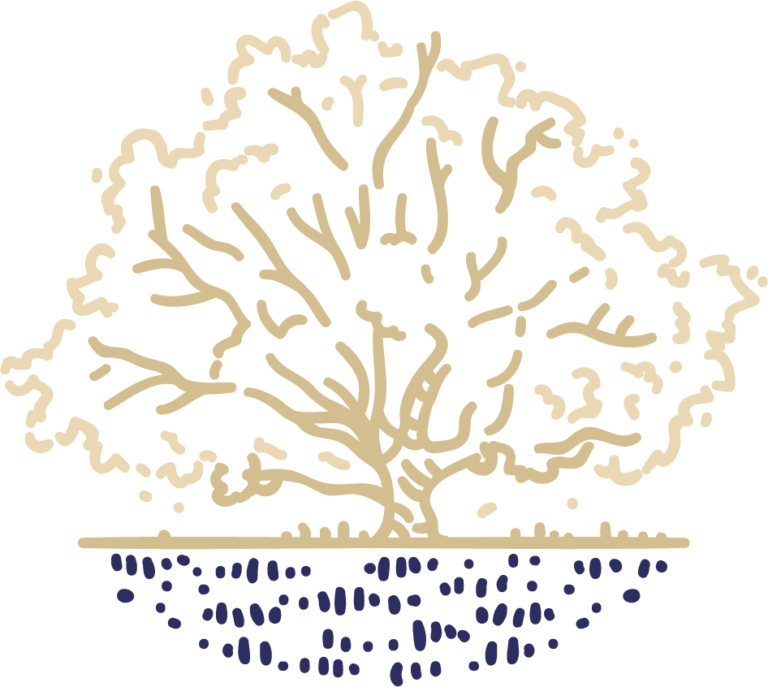 Richard P Renehan - Renehan & Rossetti Law